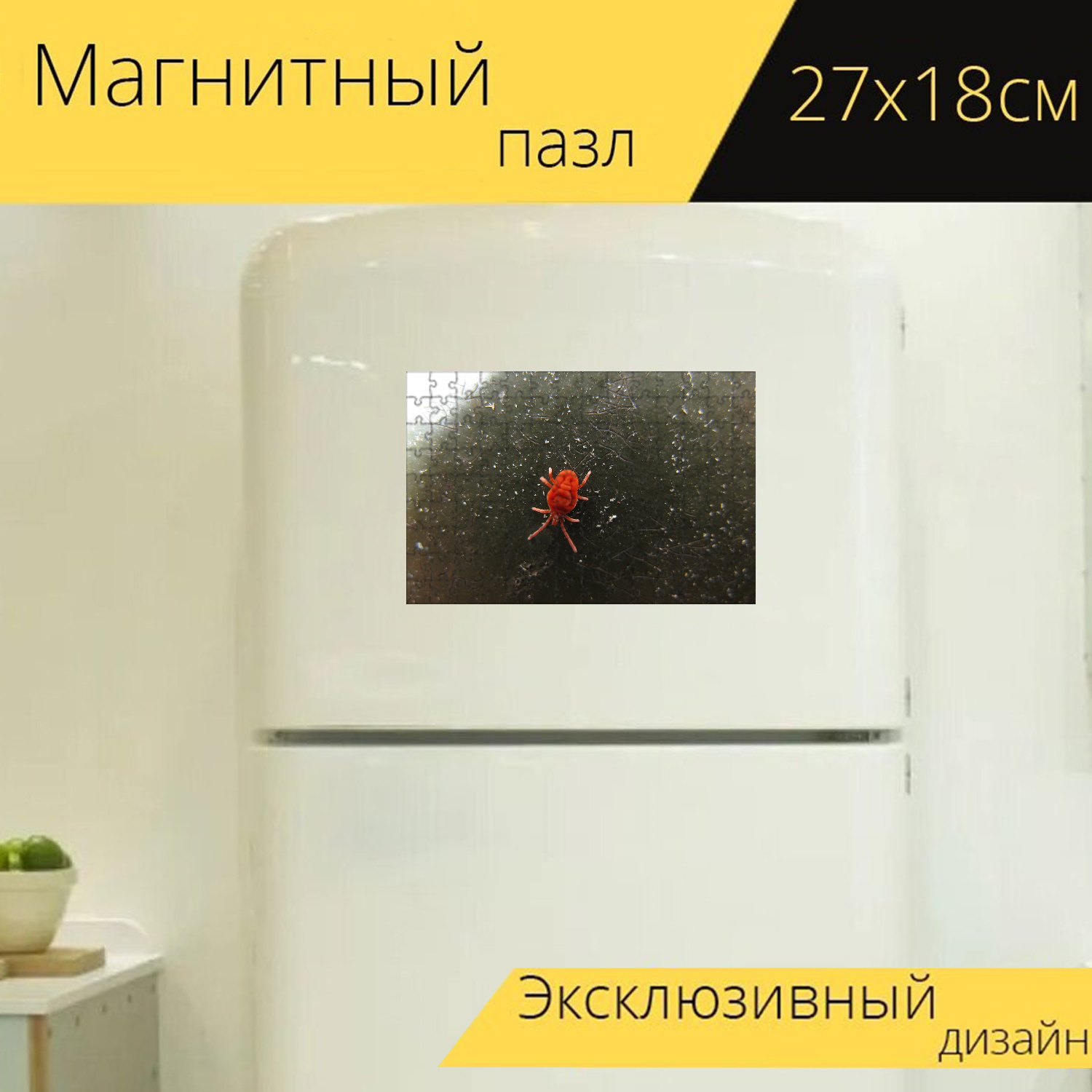 Магнитный пазл "Красный бархатный клещ, trombidium holosericeum, насекомые" на холодильник 27 x 18 см.