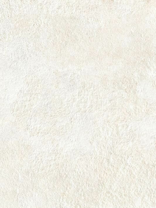 Alma Ceramica Garden TWU3090GAR04R плитка настенная 300х900