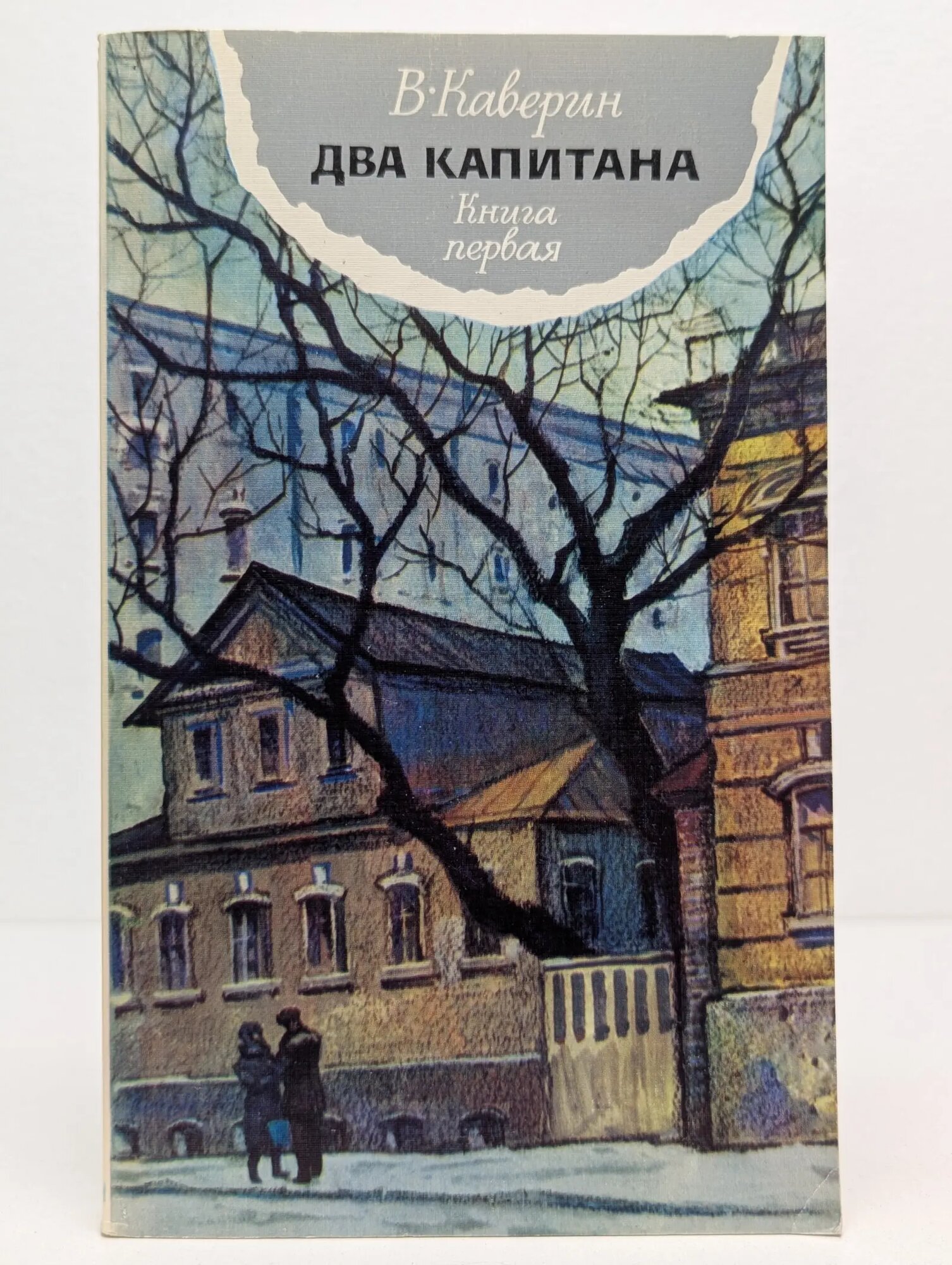 Два капитана. Роман в 2 книгах. Книга 1 Каверин Вениамин Александрович 1979