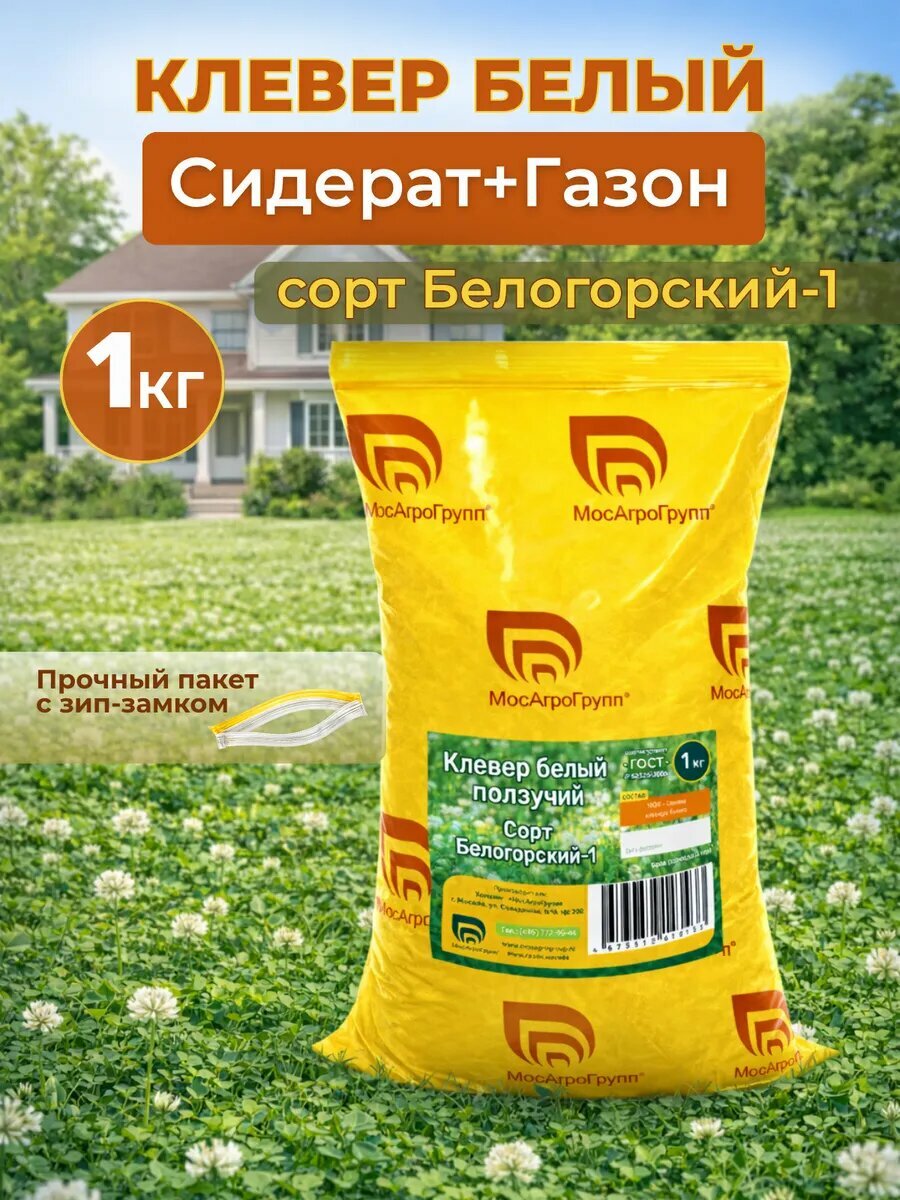 Семена белого клевера 1кг сорт Белогорский 1 Мосагрогрупп для газона