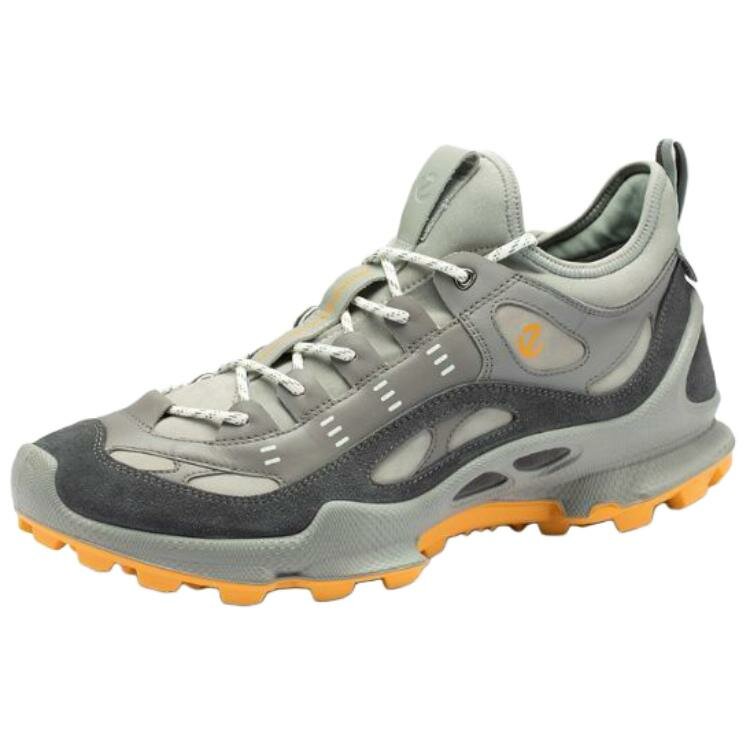 Туфли ECCO Biom C Trail