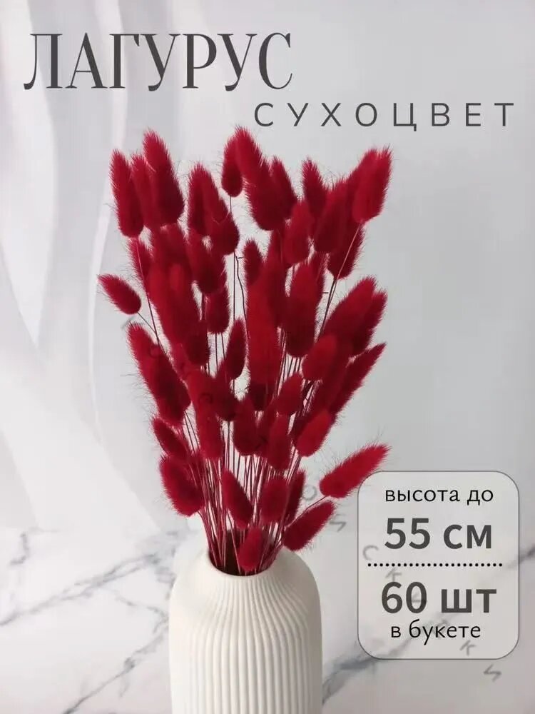 Сухоцветы, 60 шт — фото 1