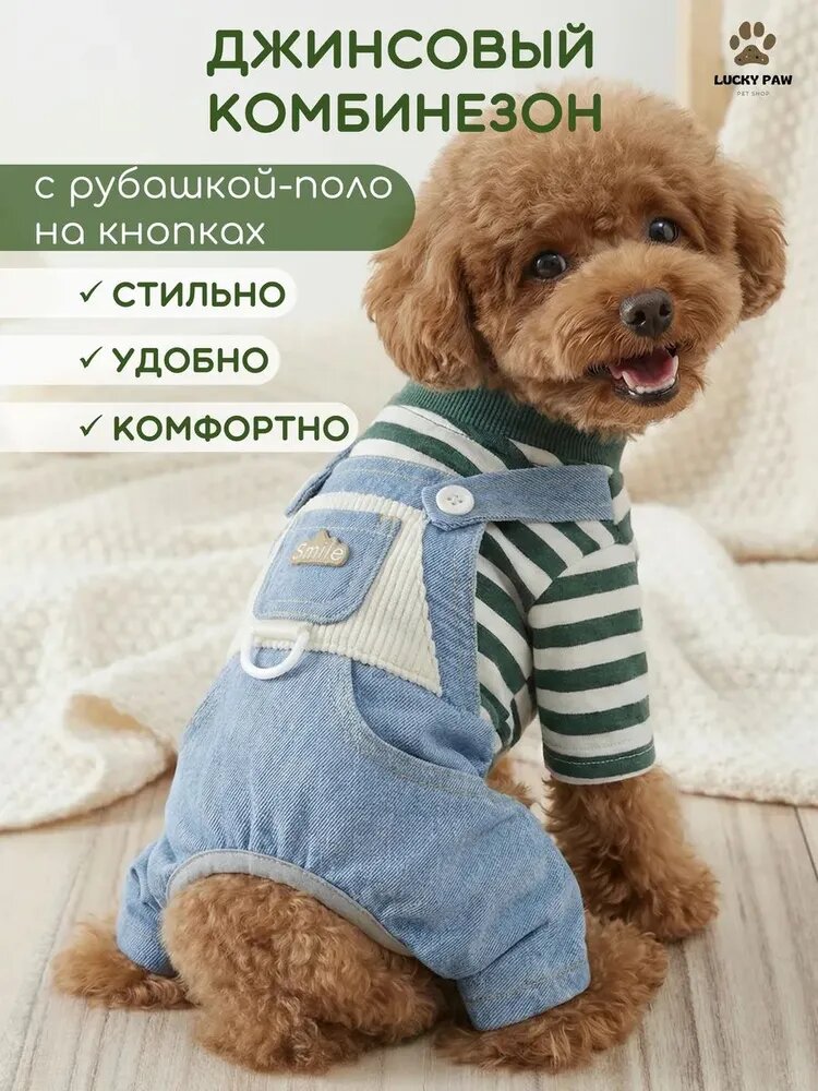 Одежда для собак комбинезон — фото 1