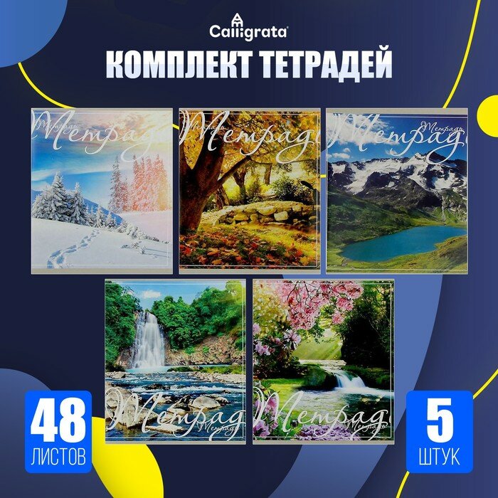 Набор тетрадей 48 листов в клетку Calligrata Пейзаж, обложка мелованный картон, серые листы, 5 шт.