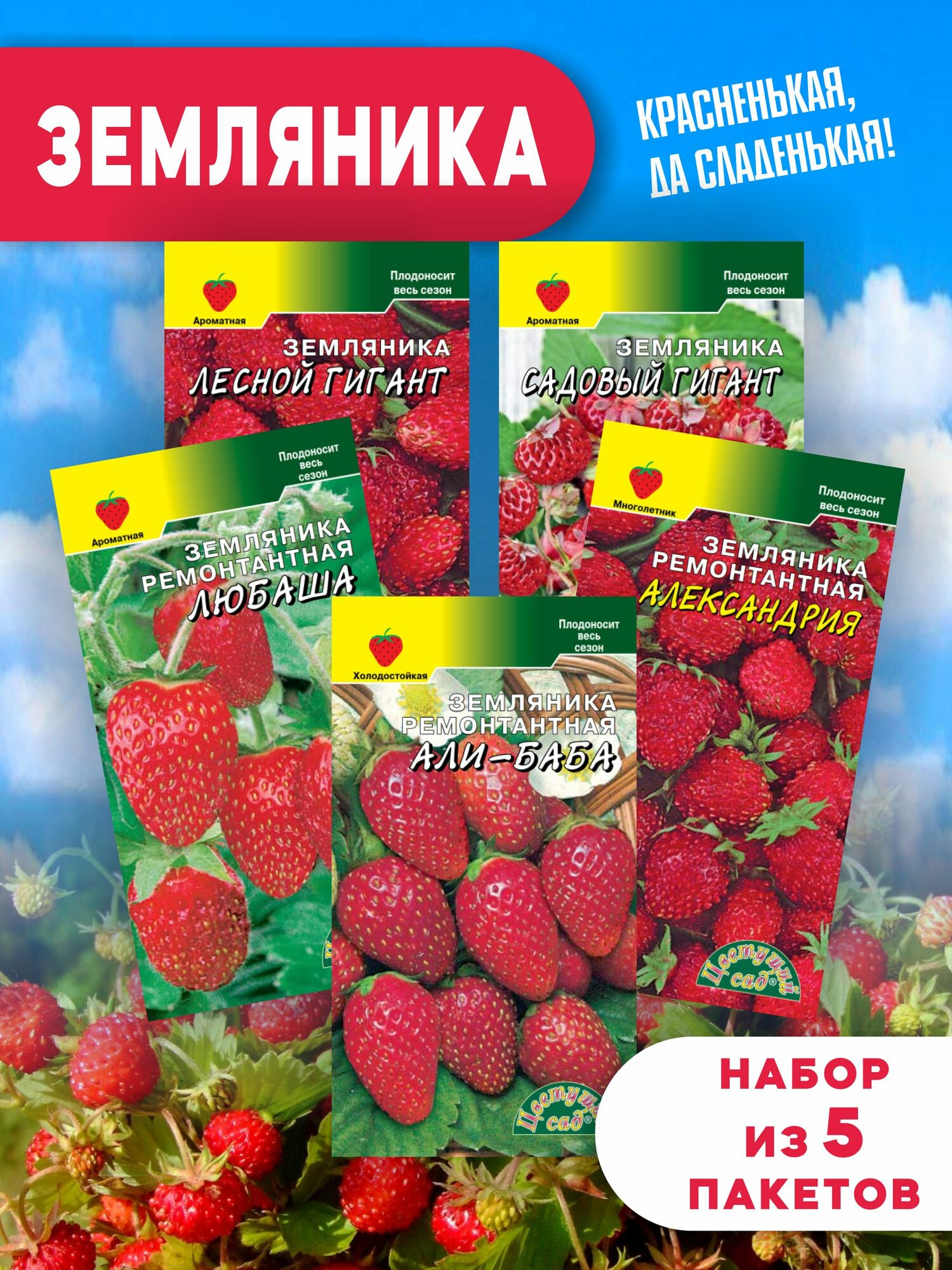 Семена Земляники 5 сортов