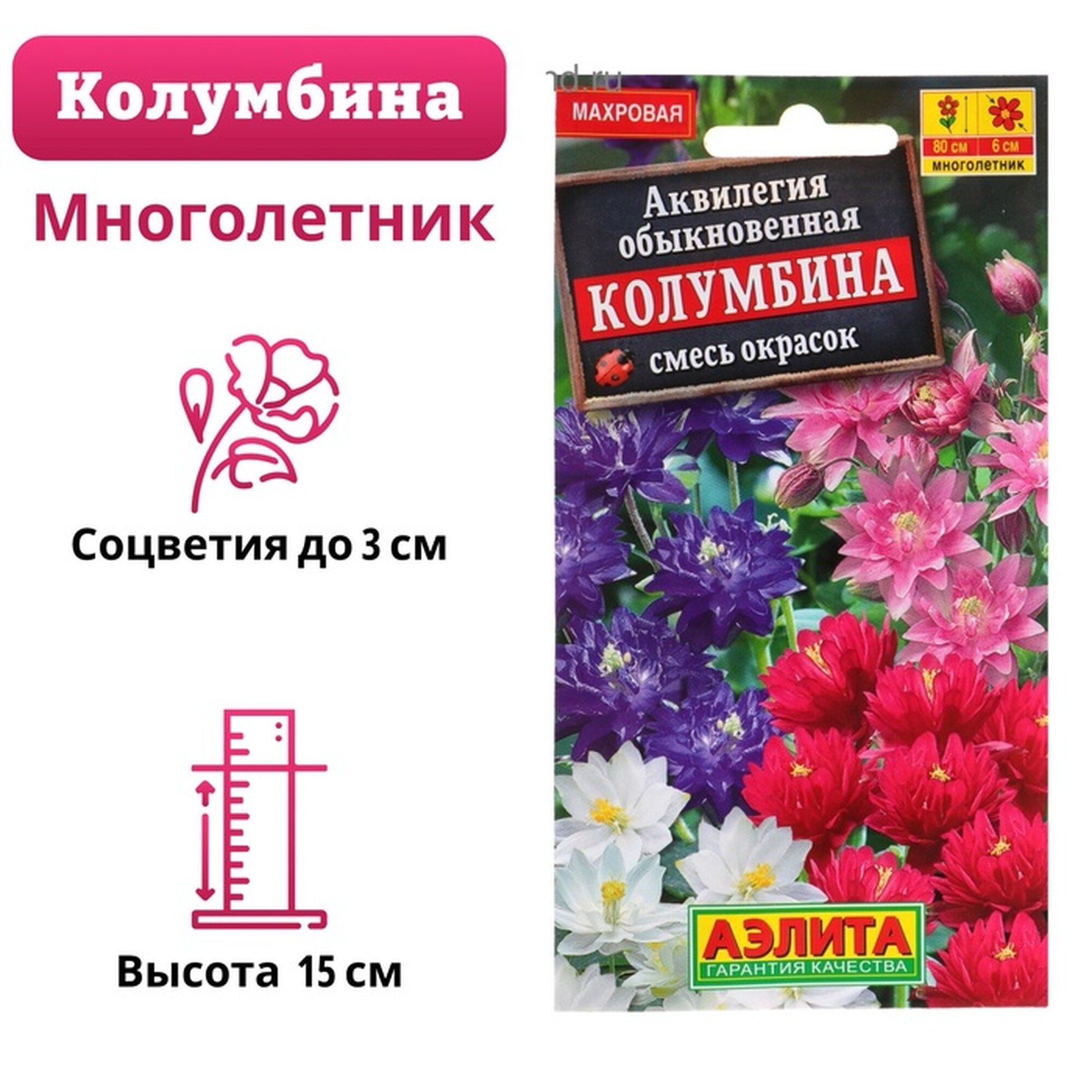 Семена цветов "Cмесь окрасок" от сембат, маргаритка, двулетник, высота до 15 см