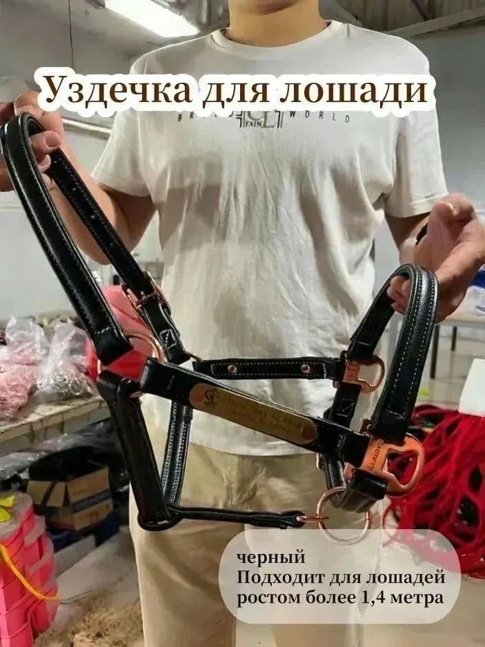 Недоуздок для лошади
