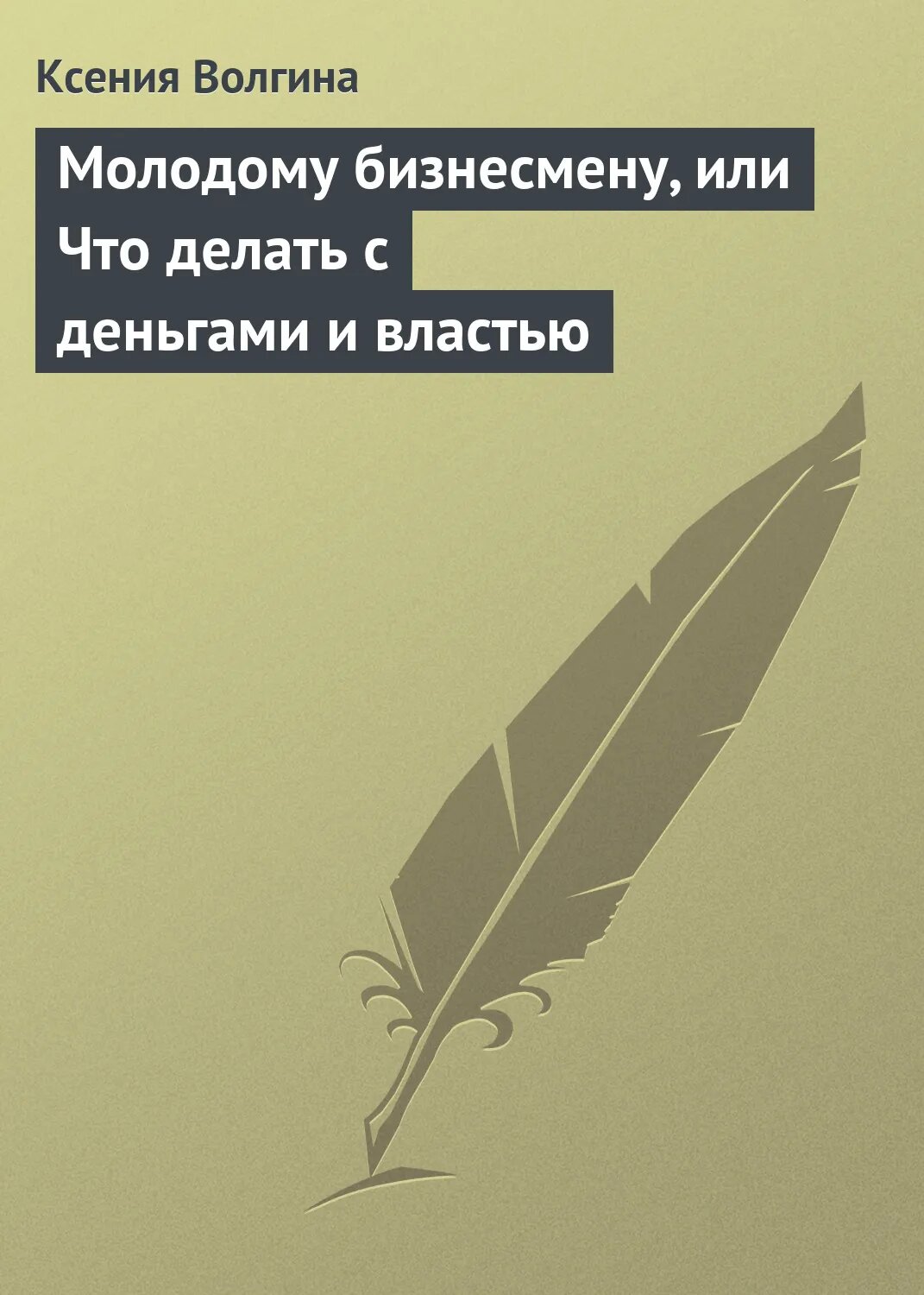 Молодому бизнесмену, или Что делать с деньгами и властью [Цифровая книга]