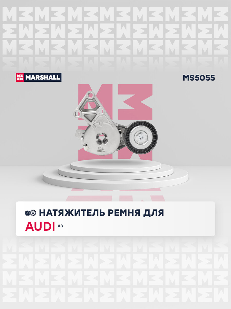 Натяжитель ремня SKODA шкода Fabia Фабия I Octavia Октавия (A4 A5) VOLKSWAGEN фольксваген Golf Гольф IV V Passat Пассат (B6) 533007630 06A903315E