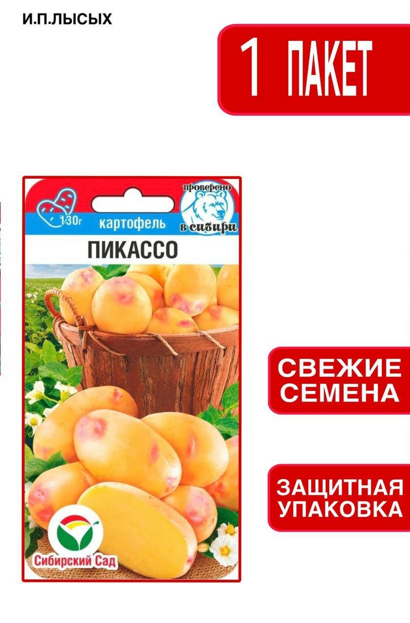 Семена Картофель "Пикассо"