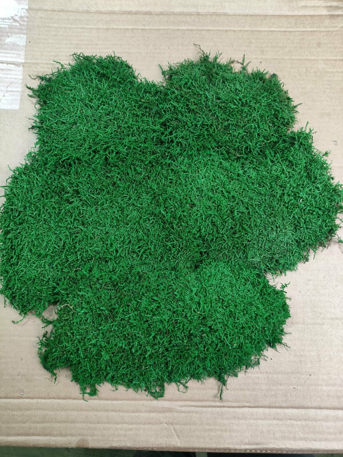 Стабилизированный мох, пластовый 0.2 кв. м.