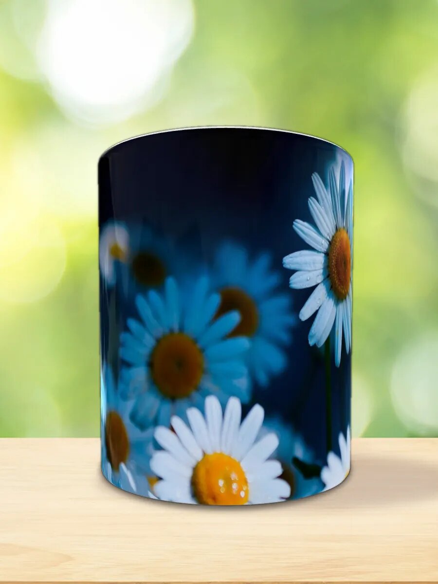 Кружка Ромашки