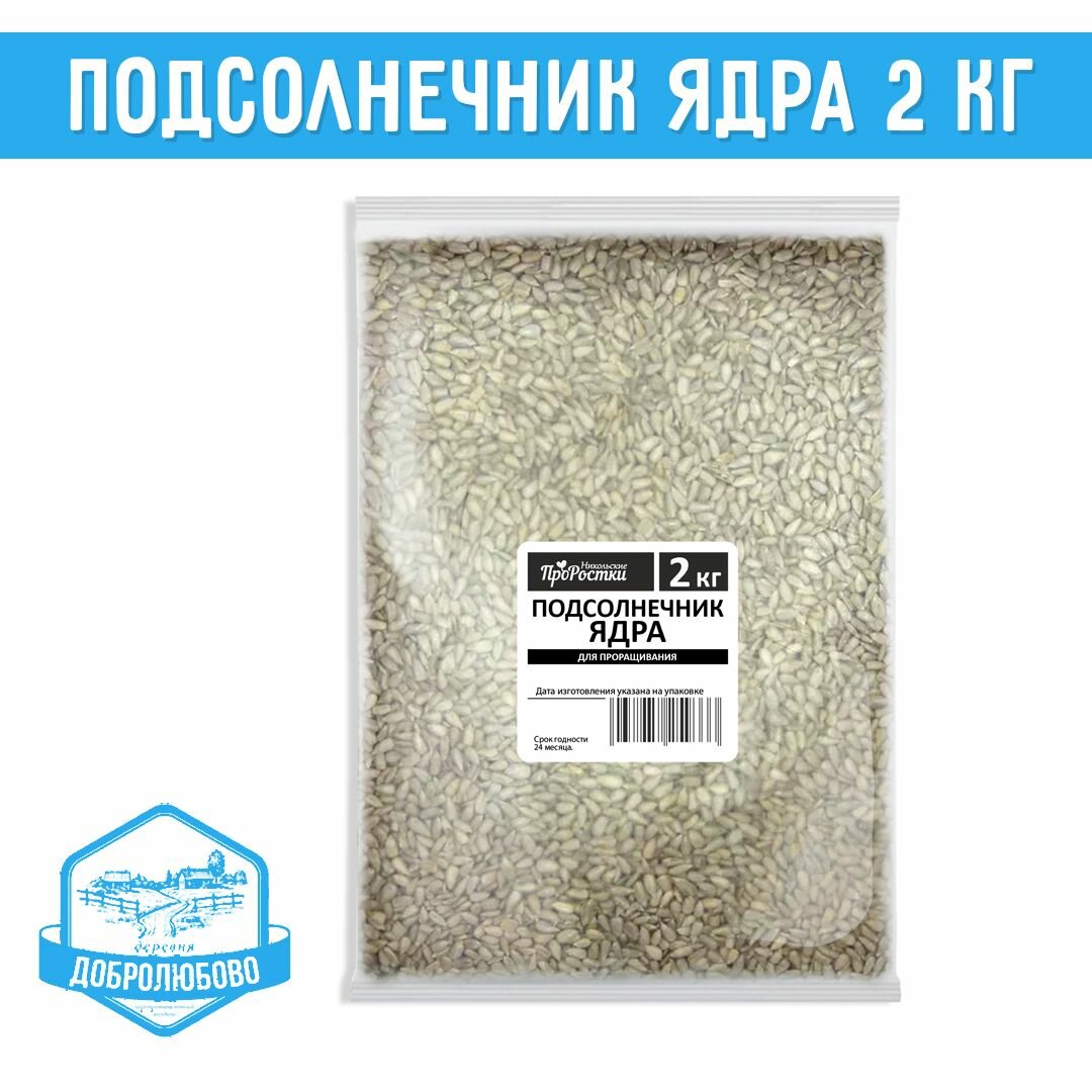 Семена подсолнечника 2 кг для проращивания