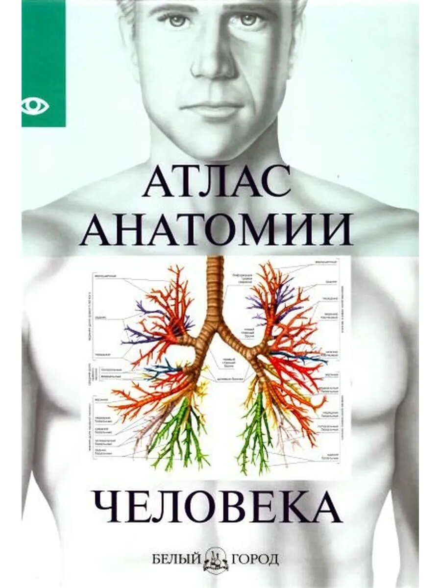 Атлас анатомии человека