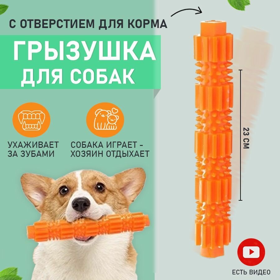 Игрушка грызунок для собак, грызак для зубов собаки, жевательная игрушка