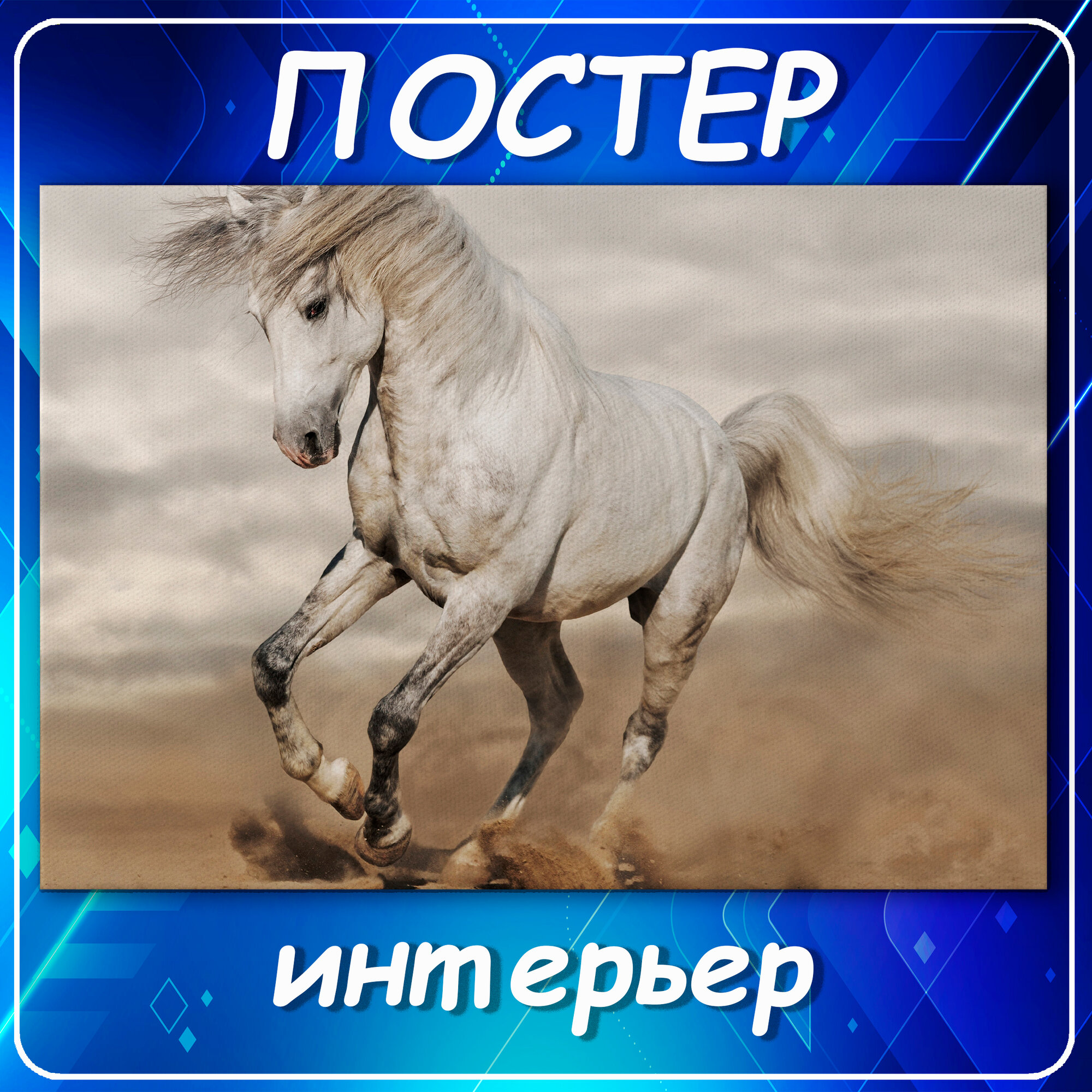 Постер 10, плакат, животные, лошади, кони, постер интерьерный, арт 1-10 50х70 см