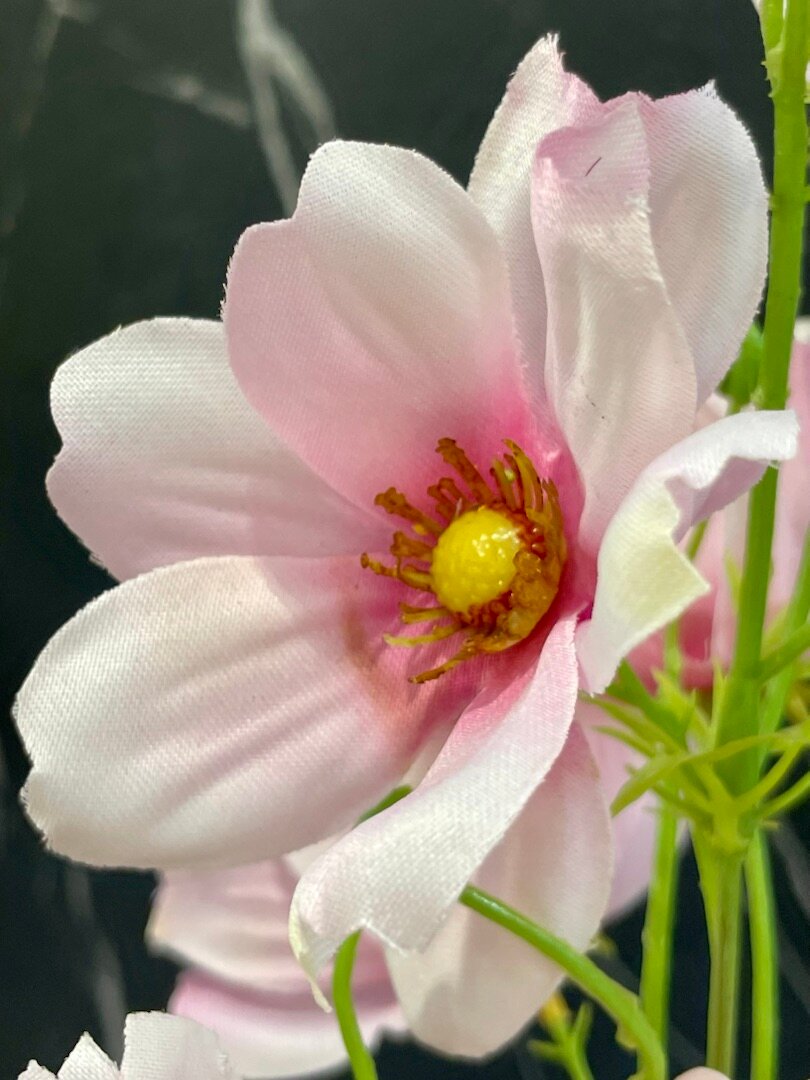 Цветок декоративный Космея ветка набор 3 шт Casaentera CE08-EA10772-2 розовый 570h