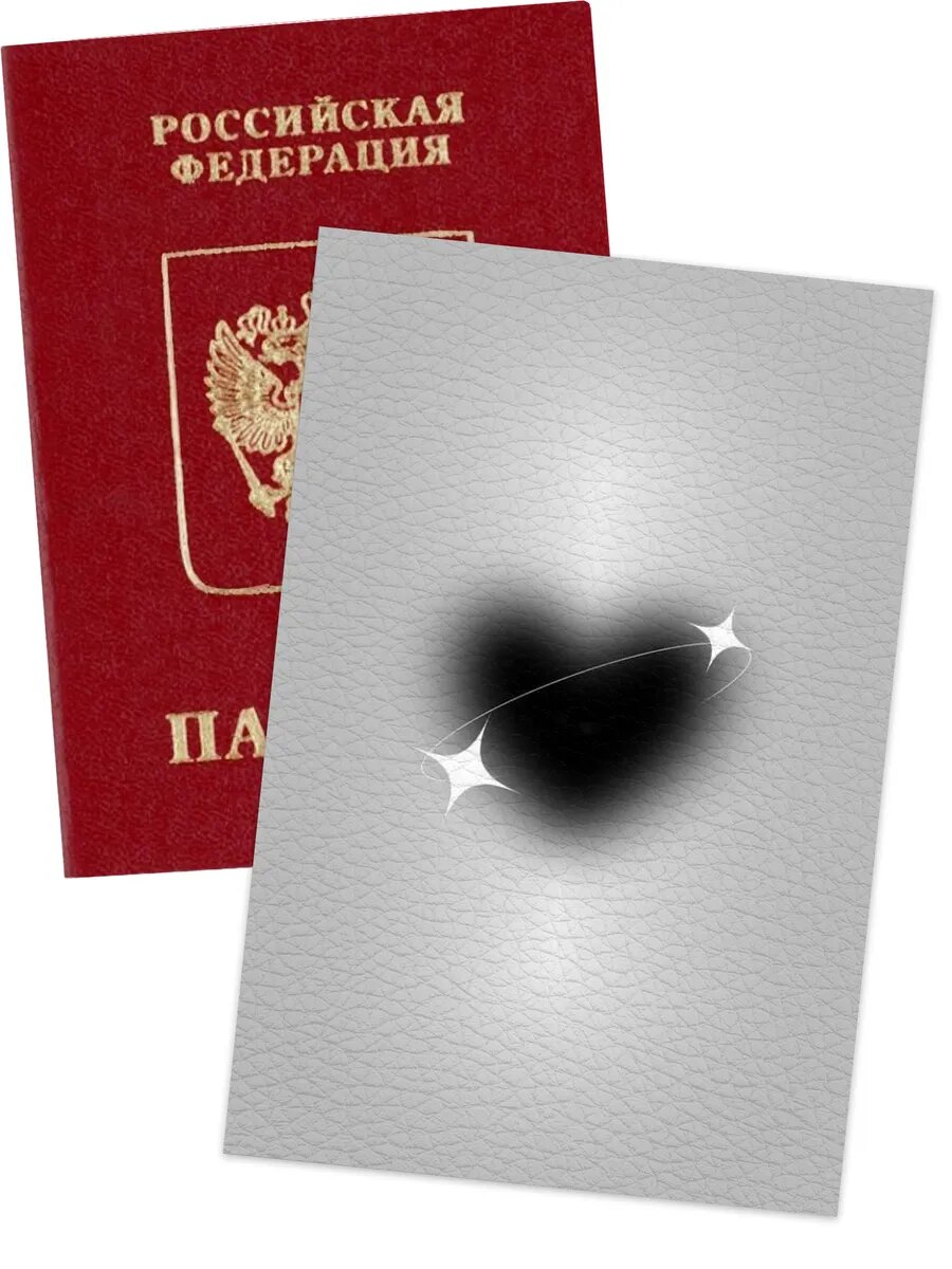Обложка для паспорта