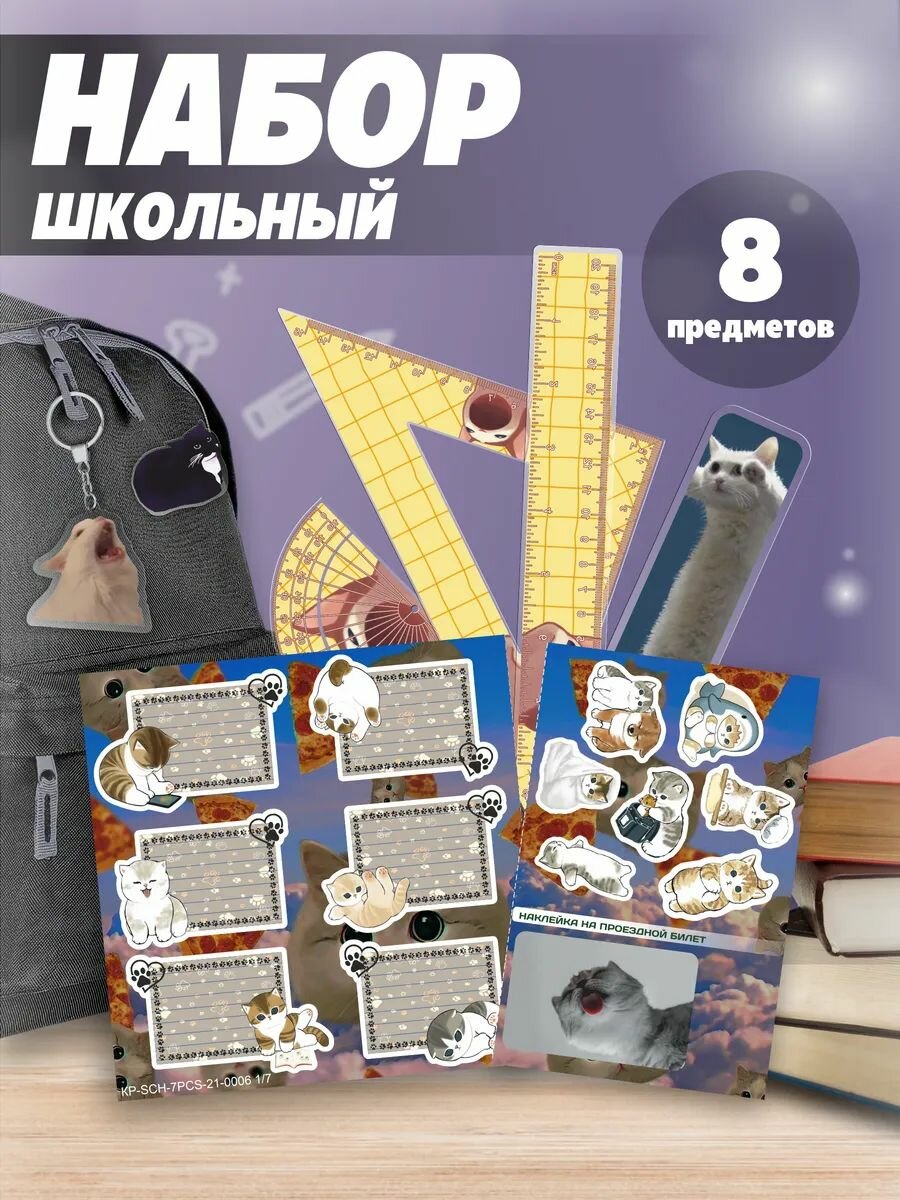 Набор канцелярский для школьников мемные котики