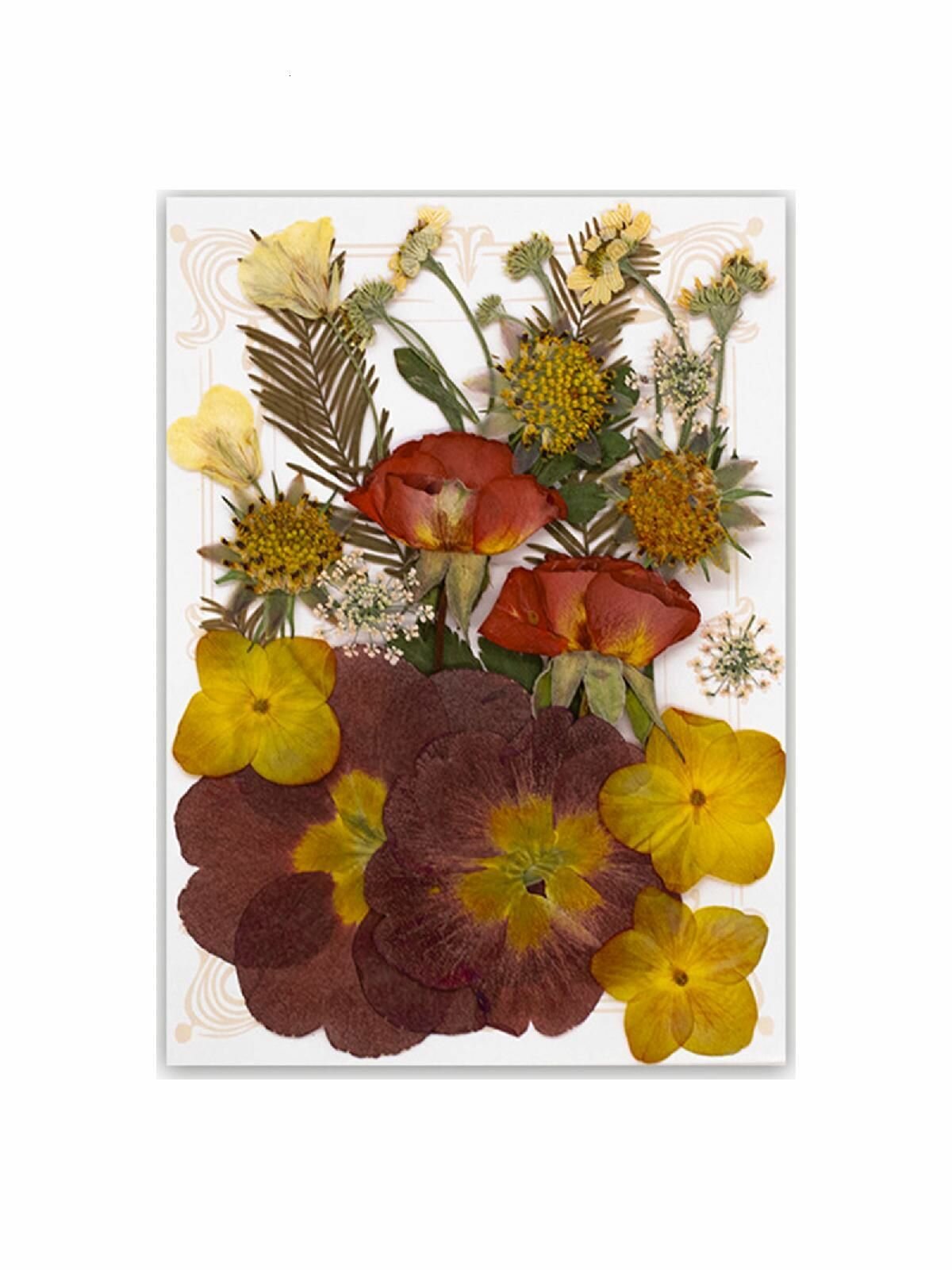 Стабилизированныецветы, Материал Для Гербария Из Настоящих Цветов-Tumi Series F