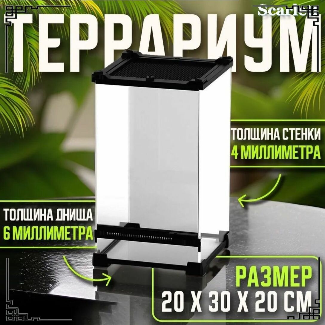 Эксклюзивный террариум