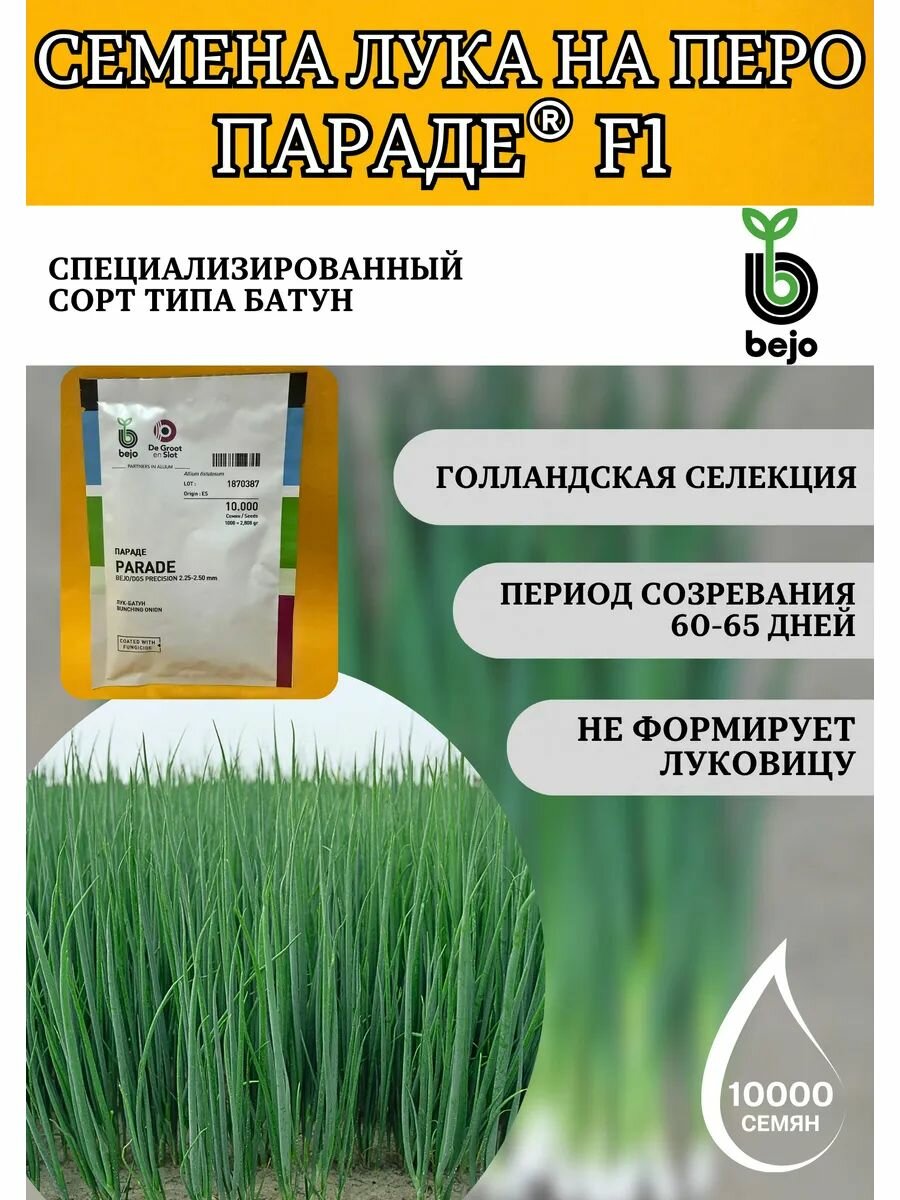 Семена лука на перо Параде, Bejo, 10 000 семян, высокая урожайность