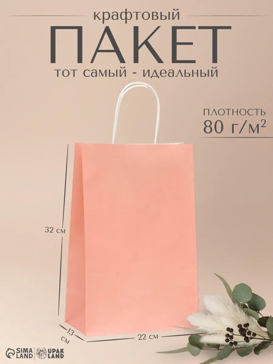 Подарочный пакет крафт «Радуга», нежно-розовый, 22 х 13 х 32 см, 80 г/м2, 1 шт