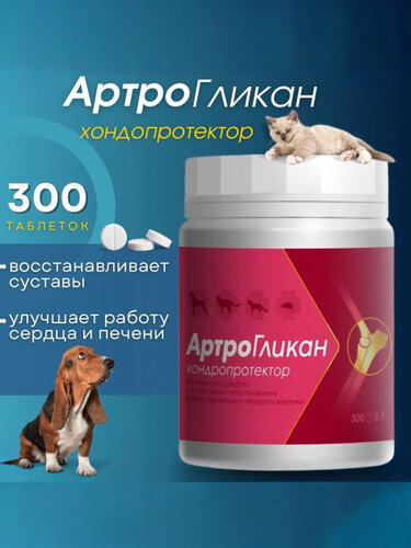 Таблетки Артрогликан (Биоцентр ЧИН) Артрогликан, 300шт. в уп. — фото 1