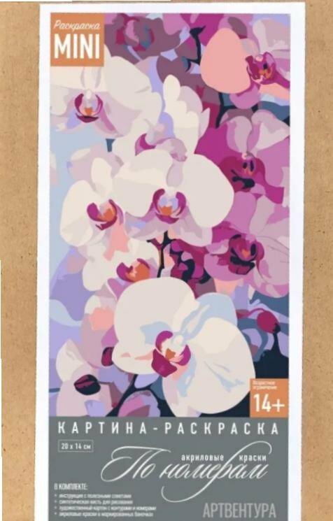 Картина-раскраска по номерам "Много орхидей" (20х14)