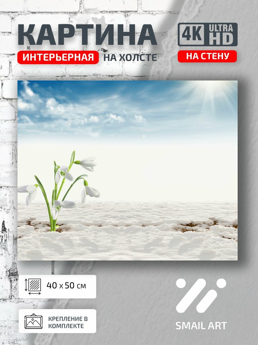 Картина на холсте интерьерная 40 на 50 на стену Ранняя Mood для офиса атмосфера интерьер