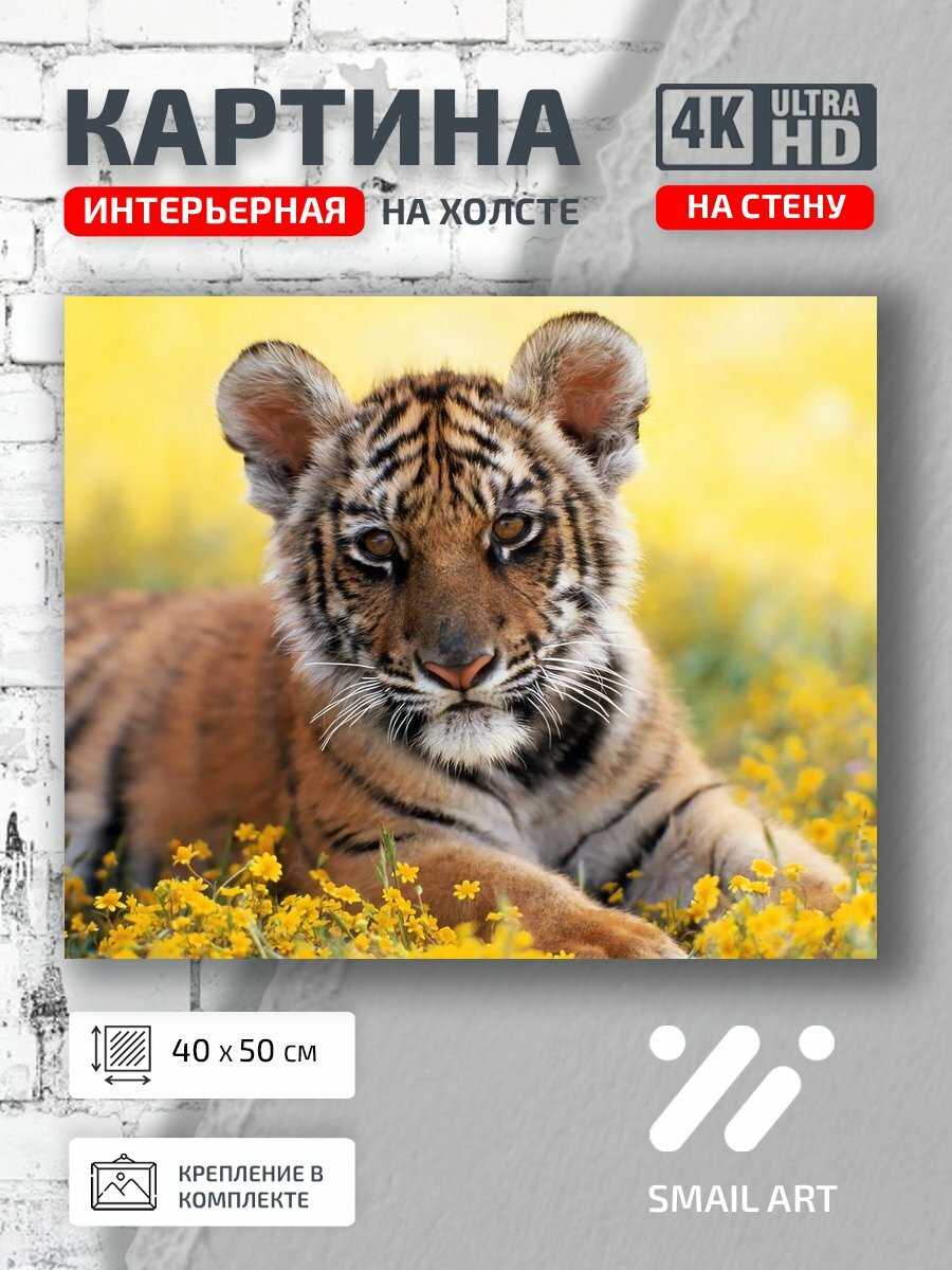 Картина на холсте интерьерная 40 на 50 на стену Тигренок Animal для детской animal style