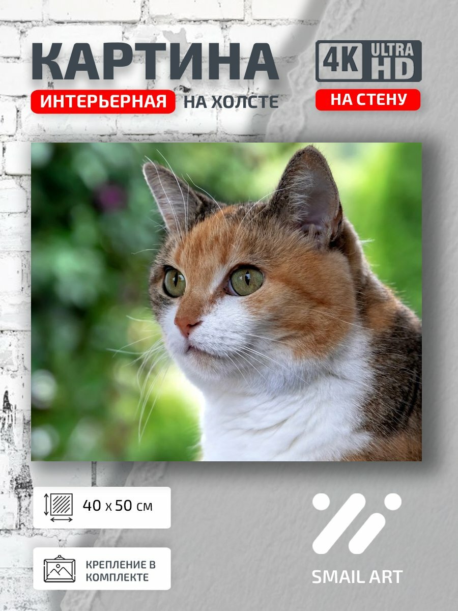 Картина на холсте интерьерная 40 на 50 на стену Взгляд Animal для кафе animal style декор