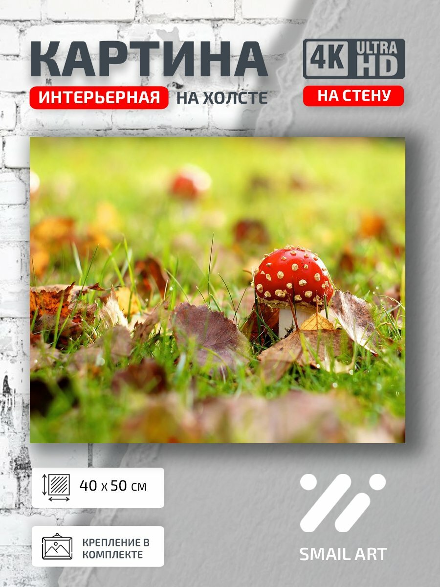 Картина на холсте интерьерная 40 на 50 на стену Гриб Landscape для офиса пейзаж интерьер