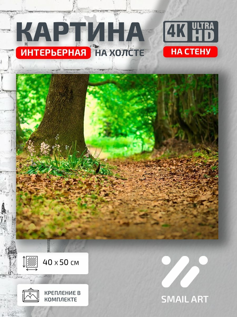 Картина на холсте интерьерная 40 на 50 на стену Лето Landscape для гостиной пейзаж интерьер