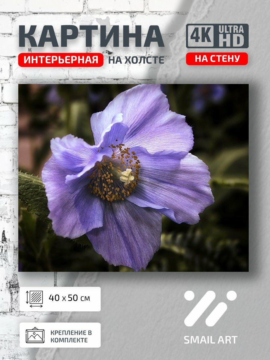 Картина на холсте интерьерная 40 на 50 на стену Фиолетовый Mood для спальни атмосфера декор