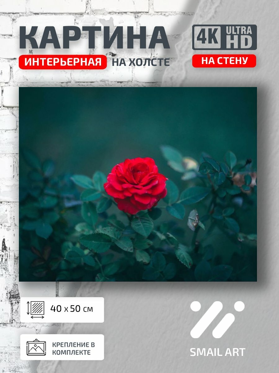 Картина на холсте интерьерная 40 на 50 на стену Листья Mood для кабинета атмосфера интерьер