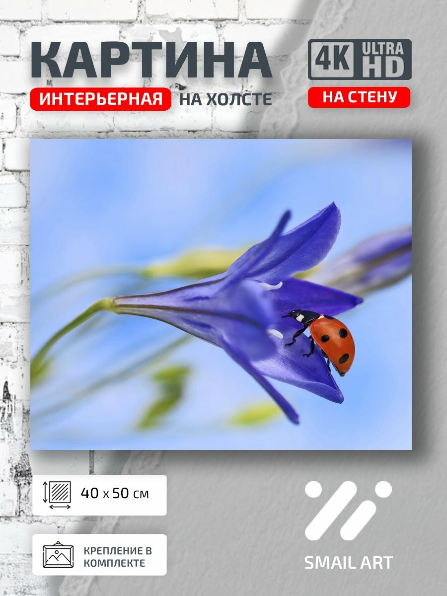Картина на холсте интерьерная 40 на 50 на стену Небо Landscape для кафе пейзаж интерьер