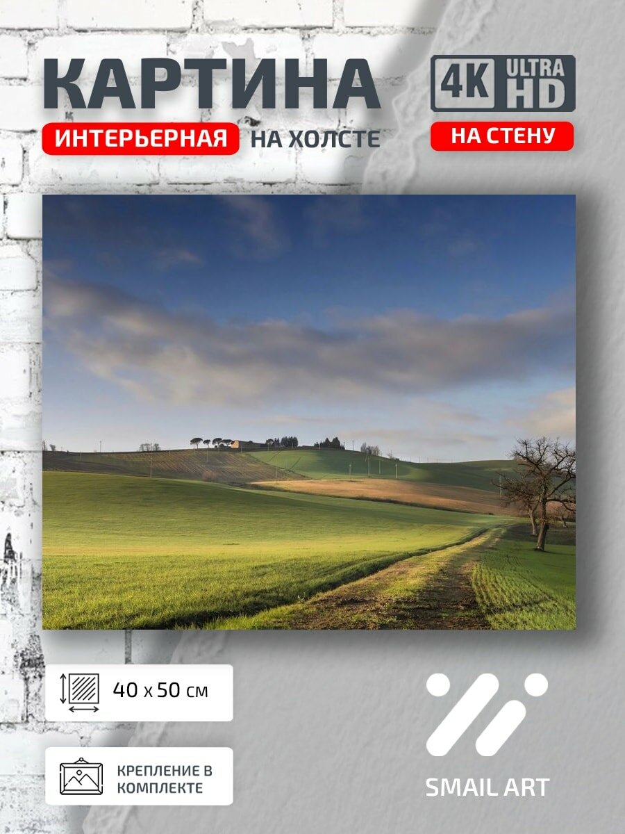 Картина на холсте интерьерная 40 на 50 на стену Природа поле для гостиной пейзаж
