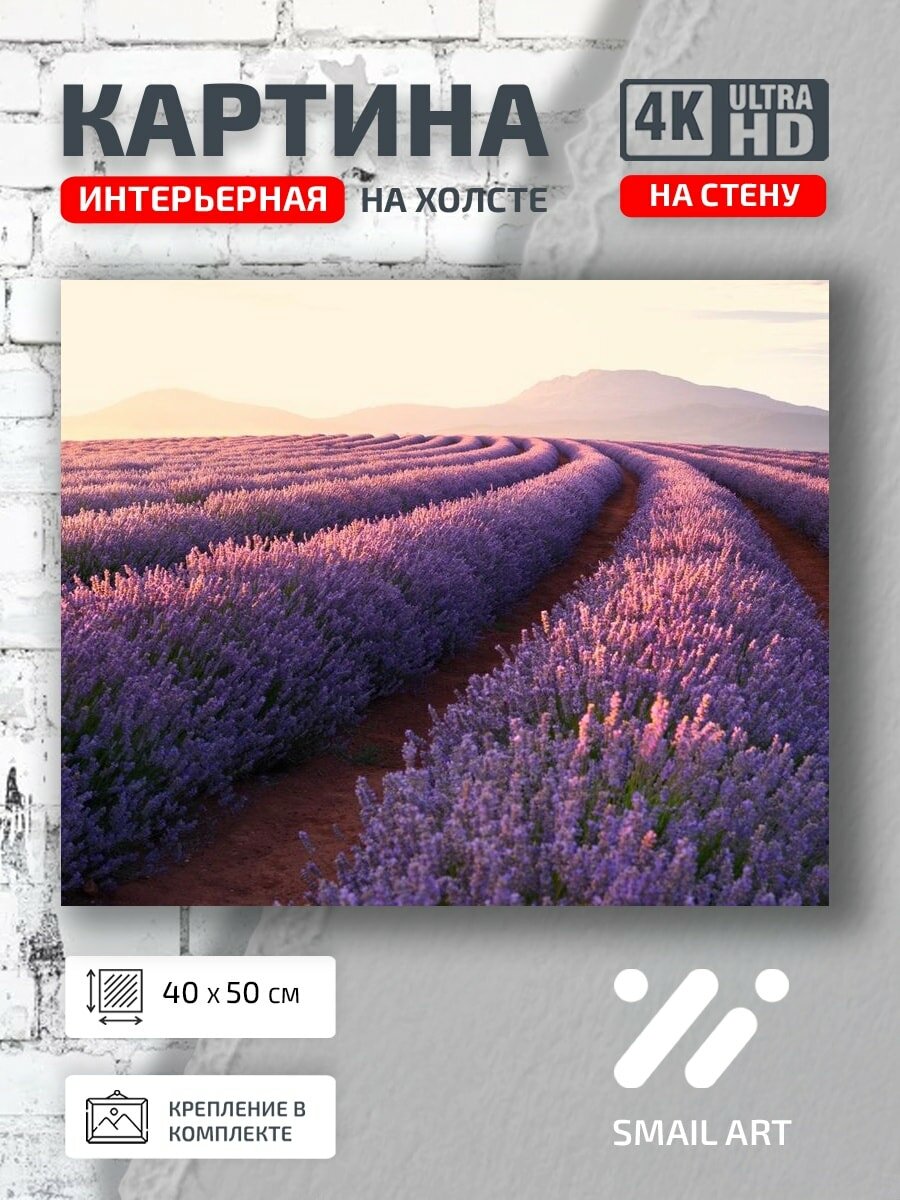 Картина на холсте интерьерная 40 на 50 на стену Цветы лаванды для спальни пейзаж