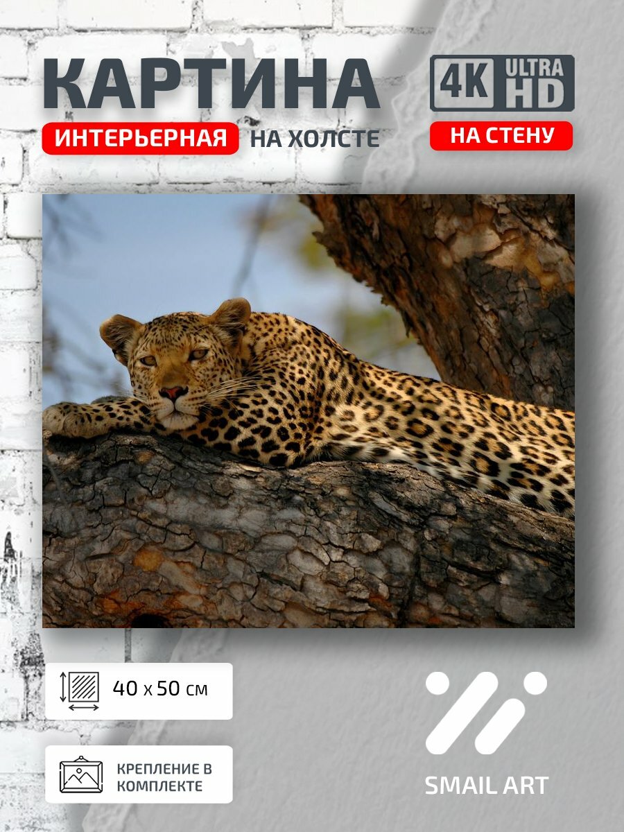 Картина на холсте интерьерная 40 на 50 на стену Гепард Landscape для офиса пейзаж интерьер