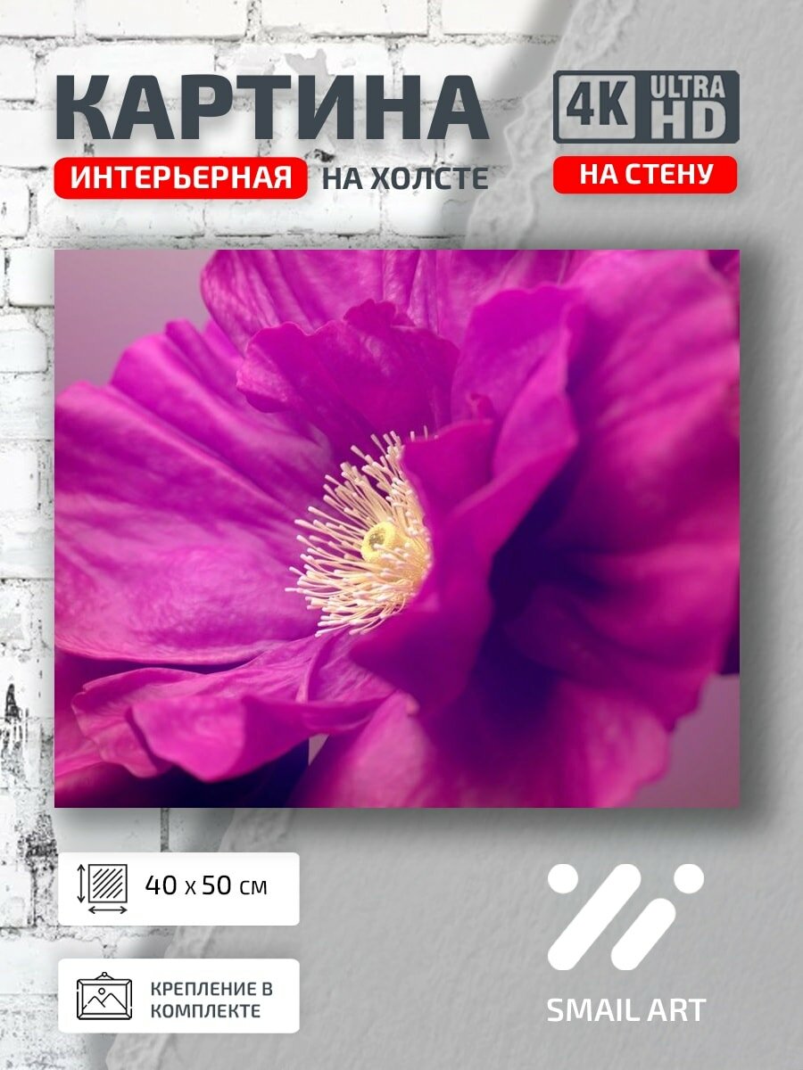 Картина на холсте интерьерная 40 на 50 на стену Розовый цветок для кабинета атмосфера