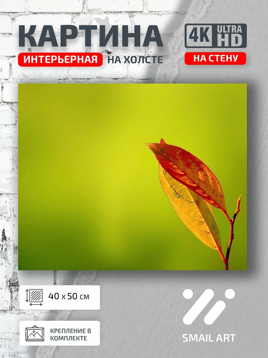 Картина на холсте интерьерная 40 на 50 на стену Ветка Landscape для кабинета пейзаж декор
