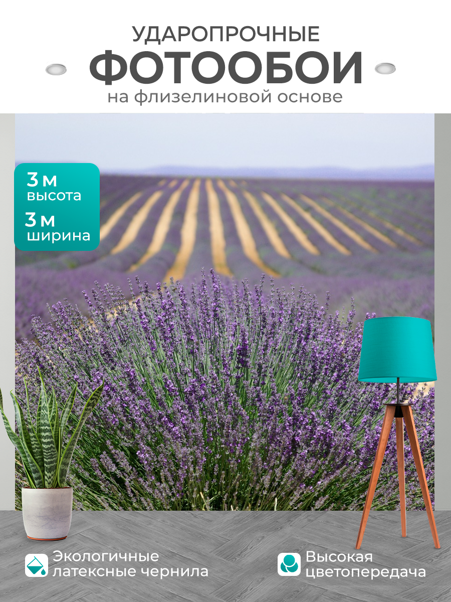 Фотообои моющиеся ударопрочные "Прованс, валенсол, лаванда" 300x300 см. флизелиновые на стену