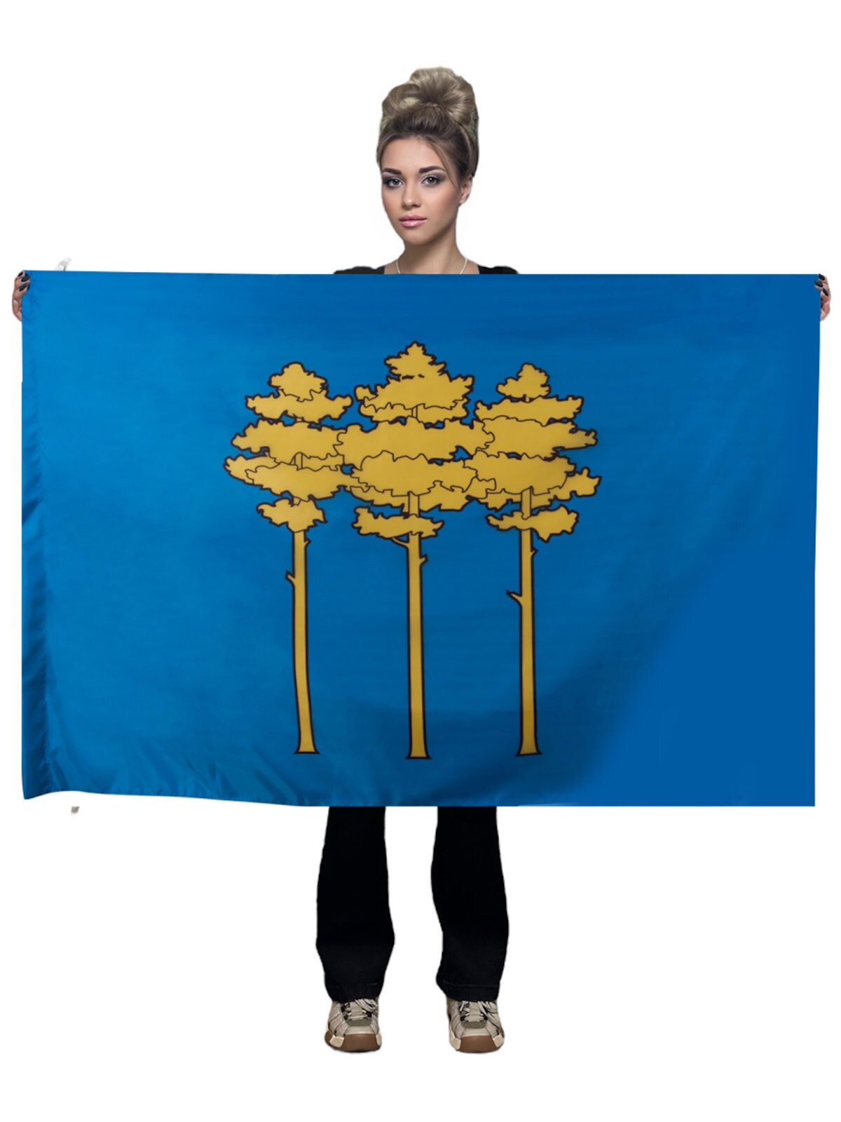 Двухсторонний флаг Димитровграда Ульяновской области; размер: 90х135см; материал: полиэфирный шелк; карман под флагшток