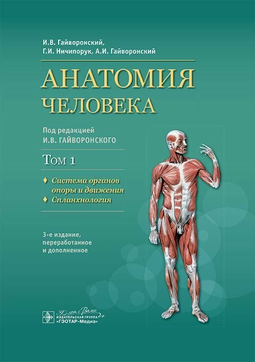 Анатомия человека : учебник : в 2 т. / И. В. Гайворонский, Г. И. Ничипорук, А. И. Гайворонский: том 1