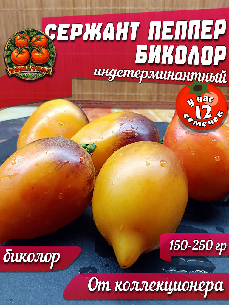 Томат "Сержант Пеппер биколор" Семена 12шт. Индетерминантный. Коллекционный сорт.