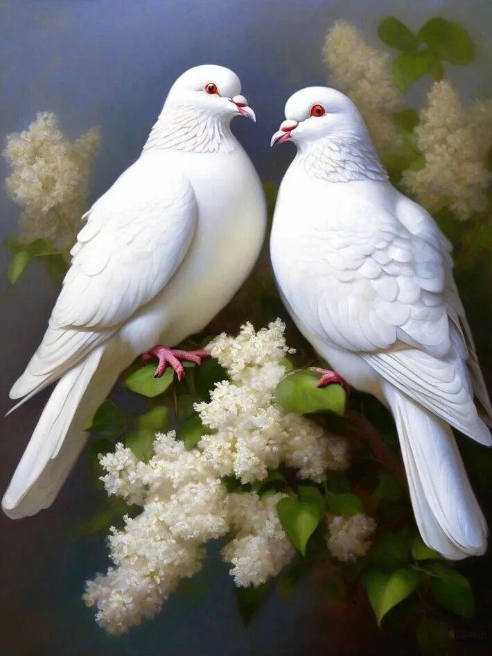 Алмазная мозаика "Красивый белый голубь" 40*50см, без рамы. Отлично подходит для дома, украшения, подарков, Рождества.