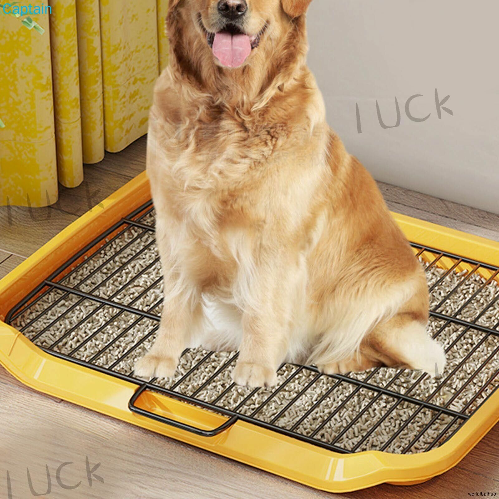 Переносной и легко моющийся лоток для дрессировки собак "Dog Potty Tray". Большое пространство и невозможность пролить жидкость на пол. Подходит для Маленьких, Средних и Крупных собак.