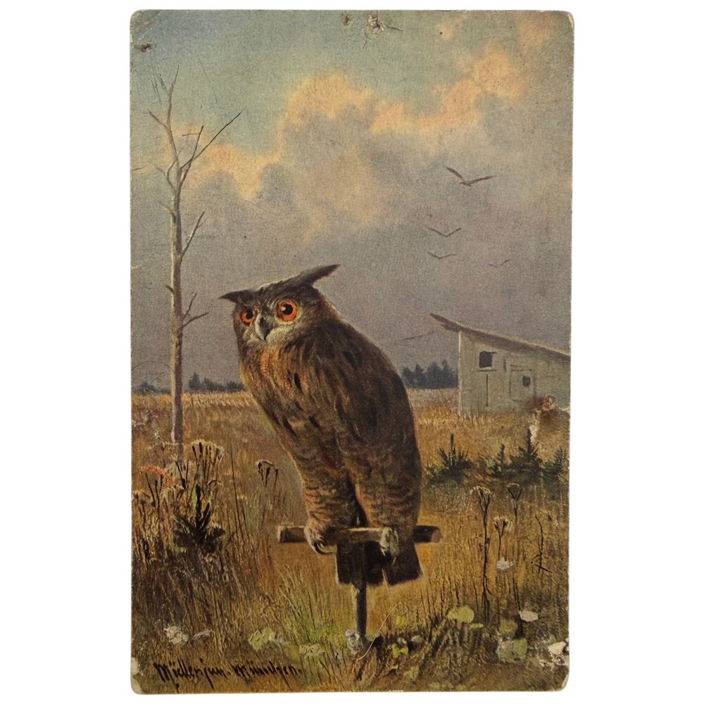 Почтовая открытка "Филин на страже" 1910-1917 гг. Германская Империя