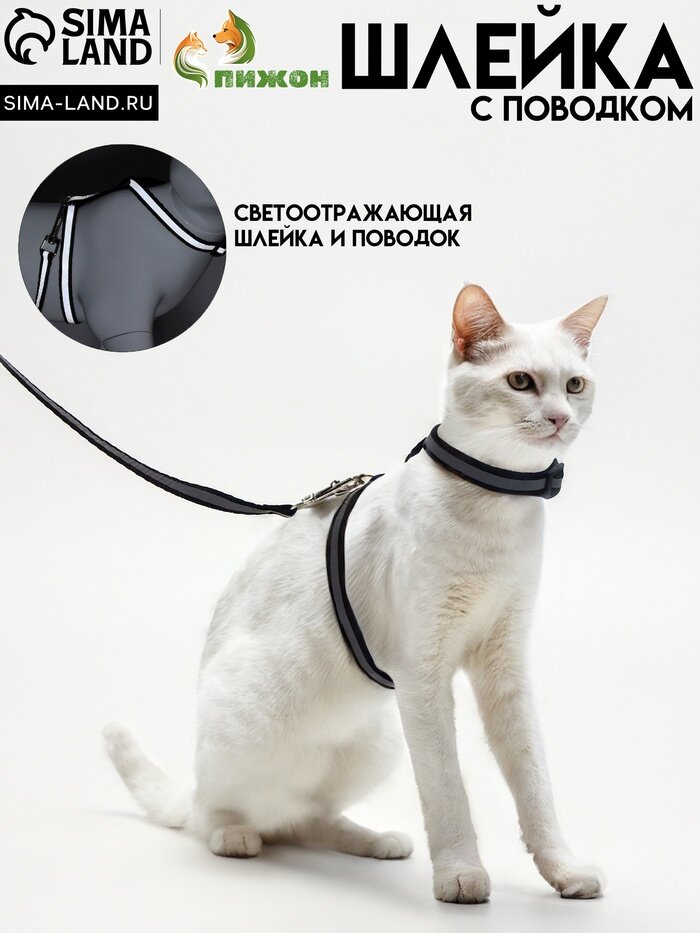 Комплект для кошек светоотражающий, ширина 1 см, шлейка 21-35 см, поводок 120 см, чёрный